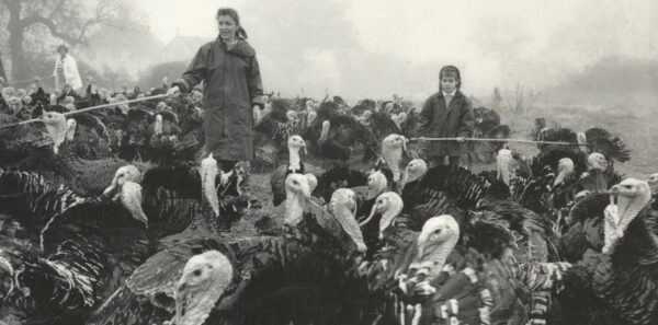 Our History - KellyBronze Turkeys - USA